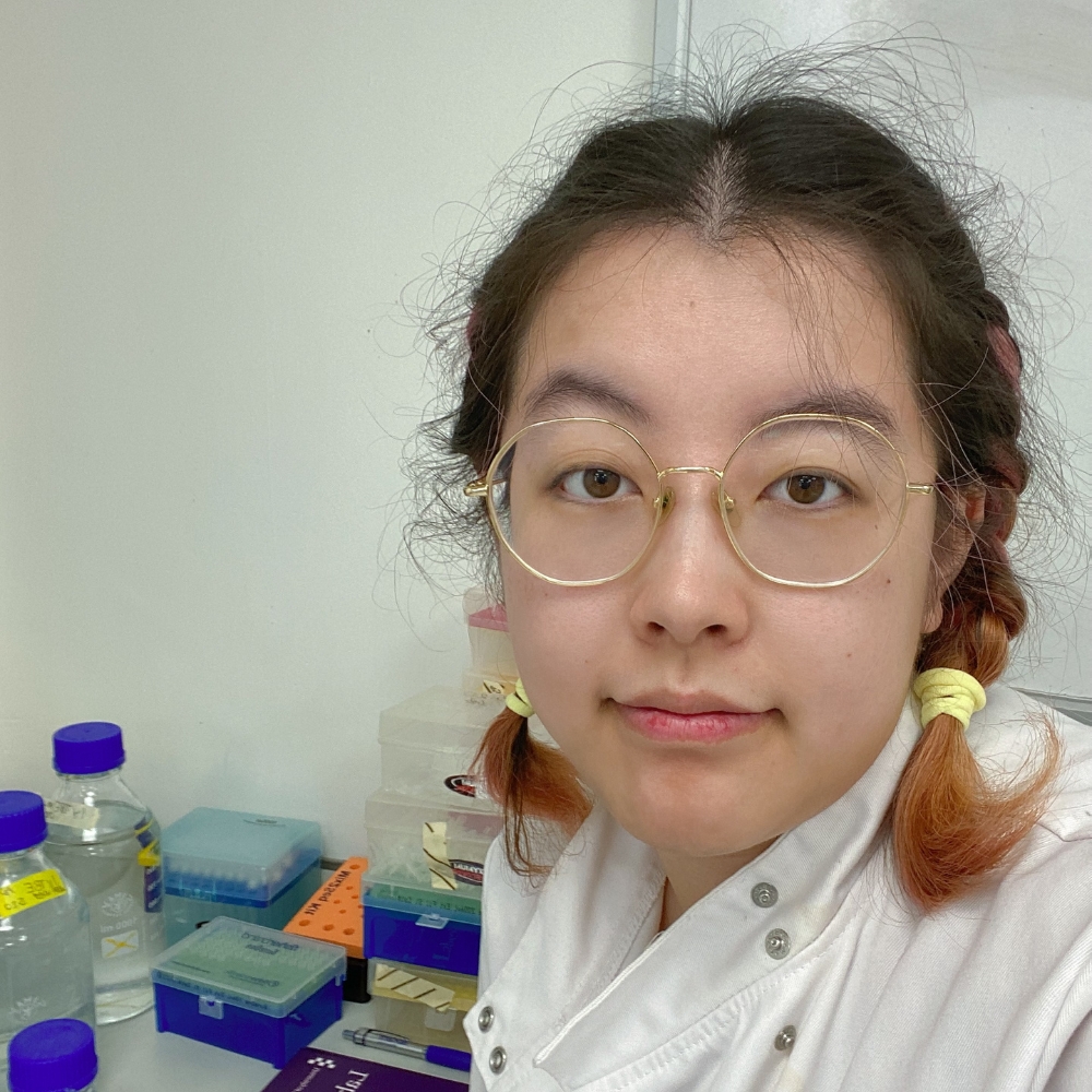 Yidi Wang | University of Essex