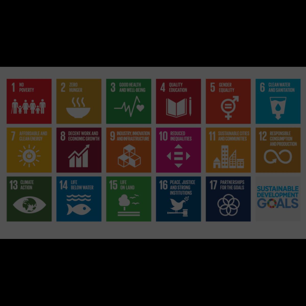 SUSTAINABLE DEVELOPMENT GOALS REPORT 2024: SDG 11 - SDG 17