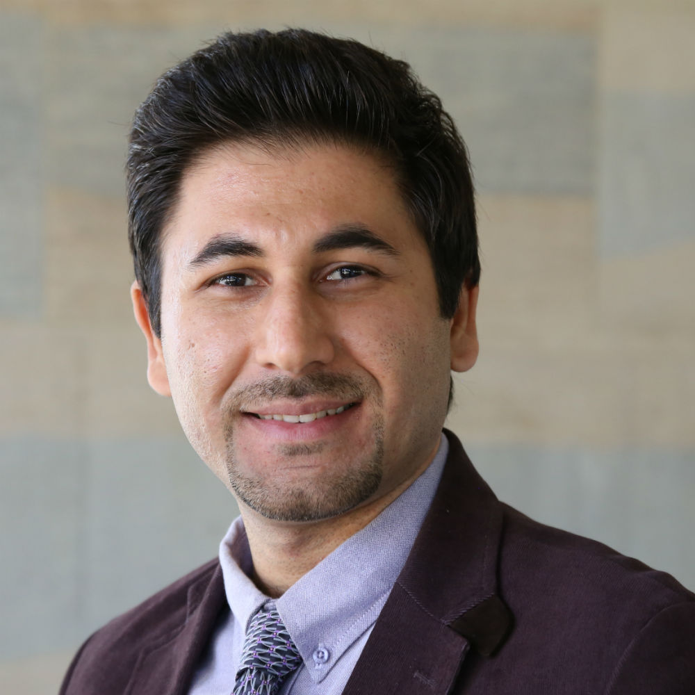 Hossein Anisi | University of Essex